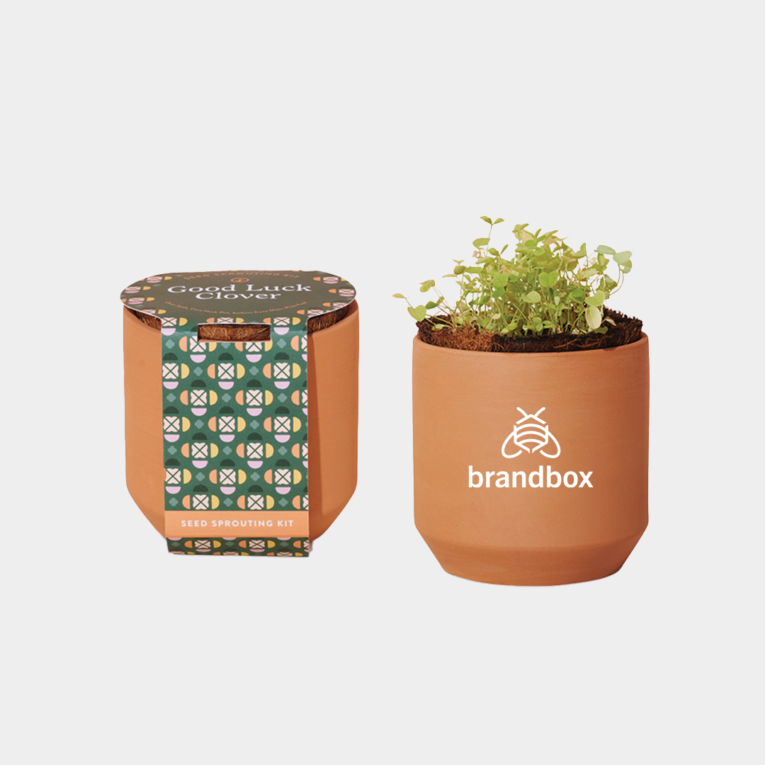 Modern Sprout® Tiny Terracotta Grow Kit Good Luck Clover – brandbox by ...